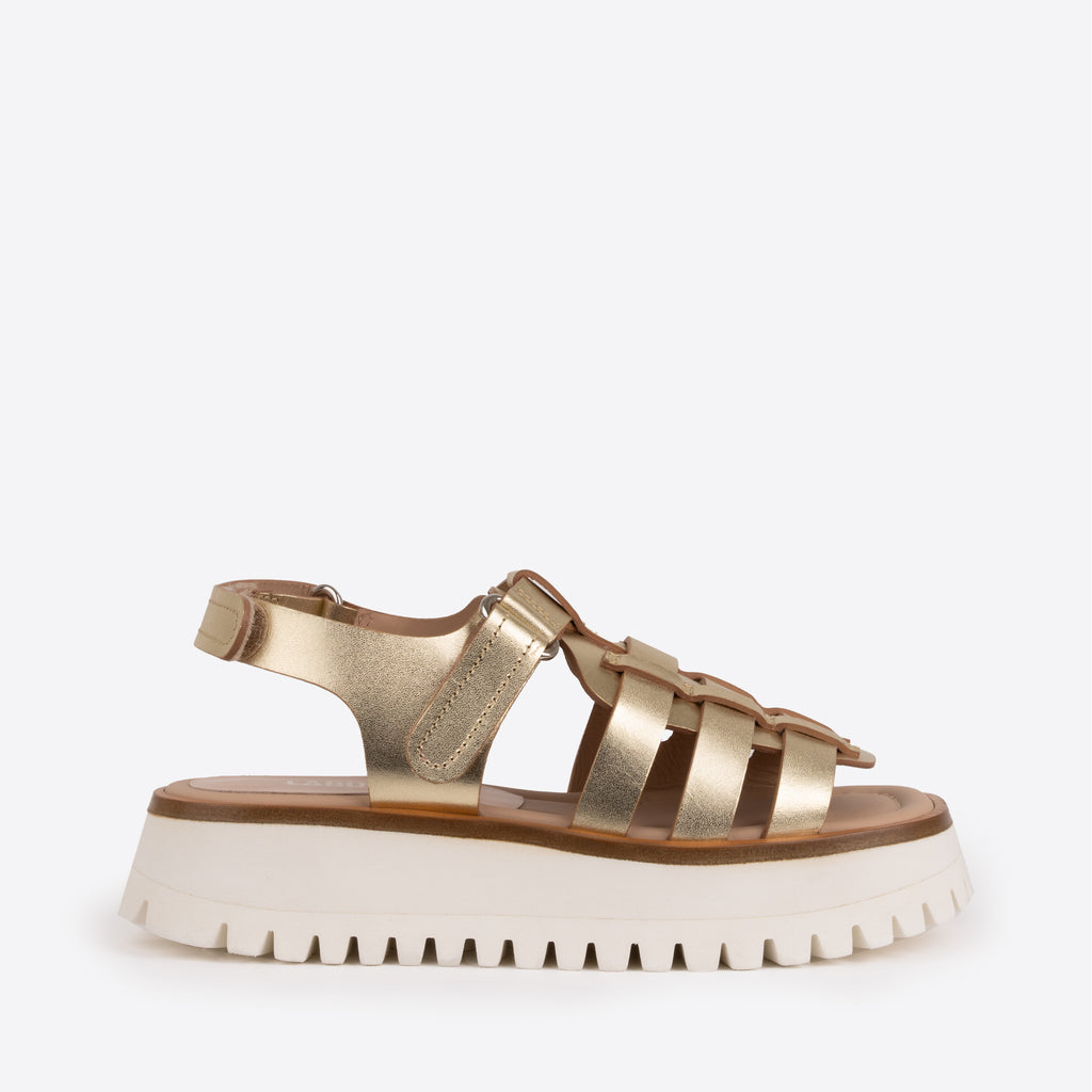 Boomer Gold – Labucq