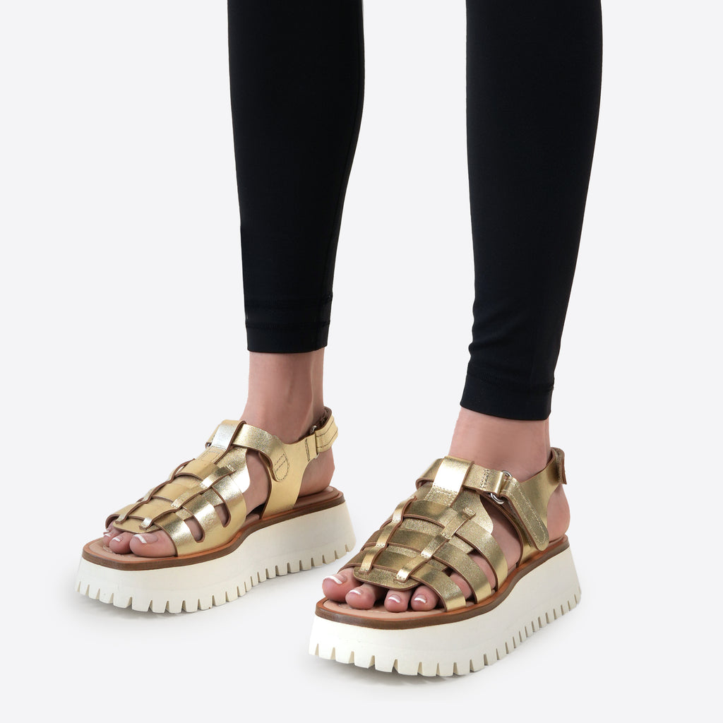 Boomer Gold – Labucq